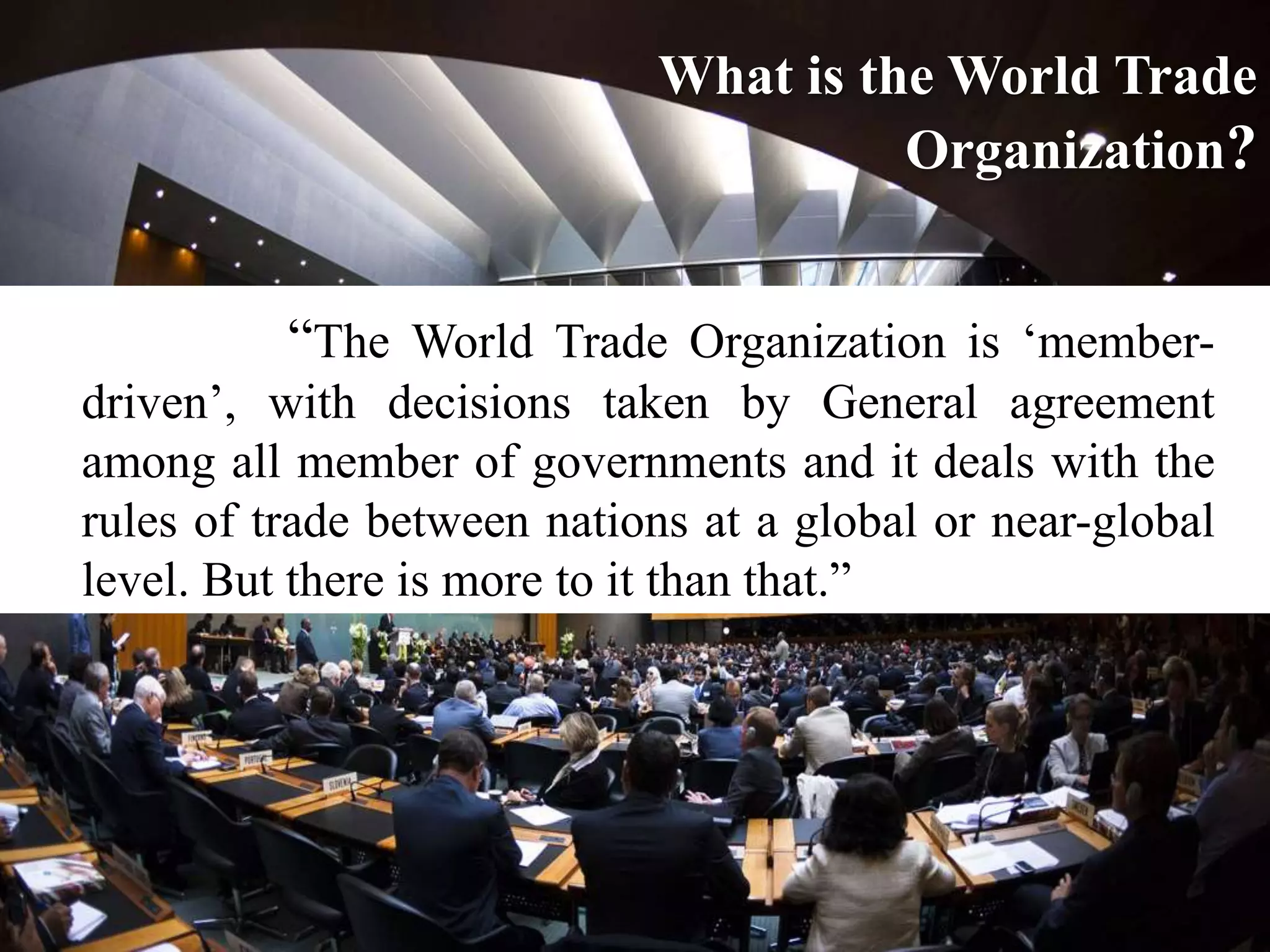World Trade Organisation and Case Studies | PPTX