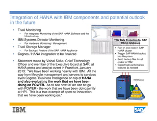 IBM SAP Alliance Strategie 2013 | PPT
