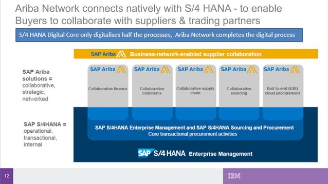 IBM SAP Ariba Overview | PDF | Cloud Computing | Internet