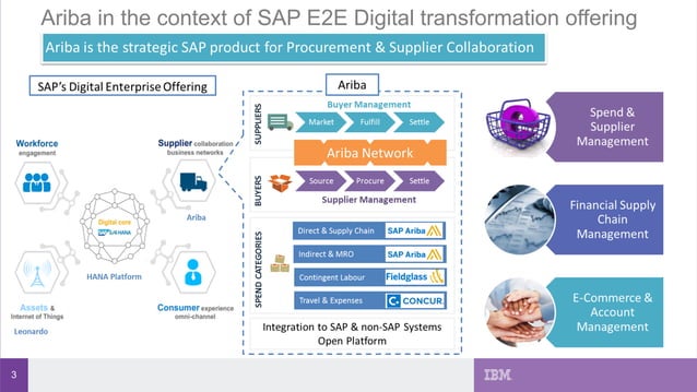 IBM SAP Ariba Overview | PDF | Cloud Computing | Internet