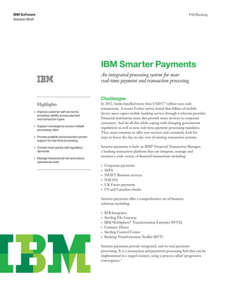 IBM Smarter Payments | PDF