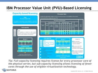IBM Software Licensing: Tips to Safeguard Your Bottom Line | PPTX
