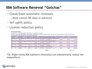 IBM Software Licensing: Tips to Safeguard Your Bottom Line | PPTX