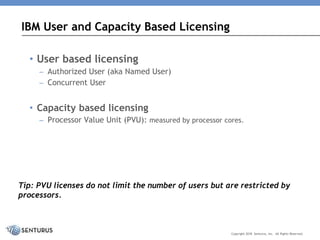 IBM Software Licensing: Tips to Safeguard Your Bottom Line | PPTX