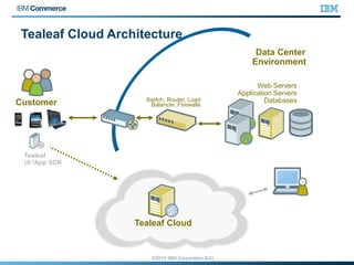 Ibm tealeaf on_cloud | PDF | Cloud Computing | Internet