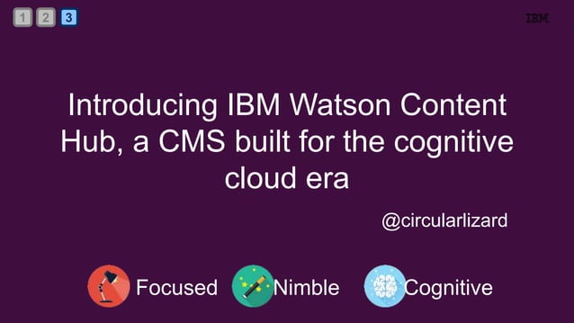 Ibm Watson Content Hub Customer Deck Ppt