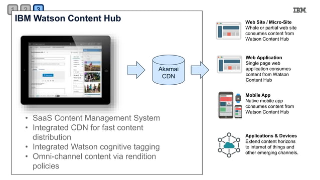 Ibm Watson Content Hub Customer Deck Ppt