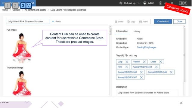 Ibm Watson Content Hub Customer Deck Ppt