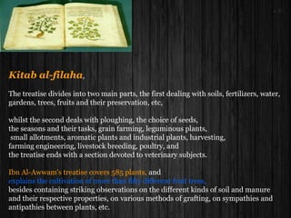 Ibn Al Awwam (12th century Muslim Botanist) | PPT