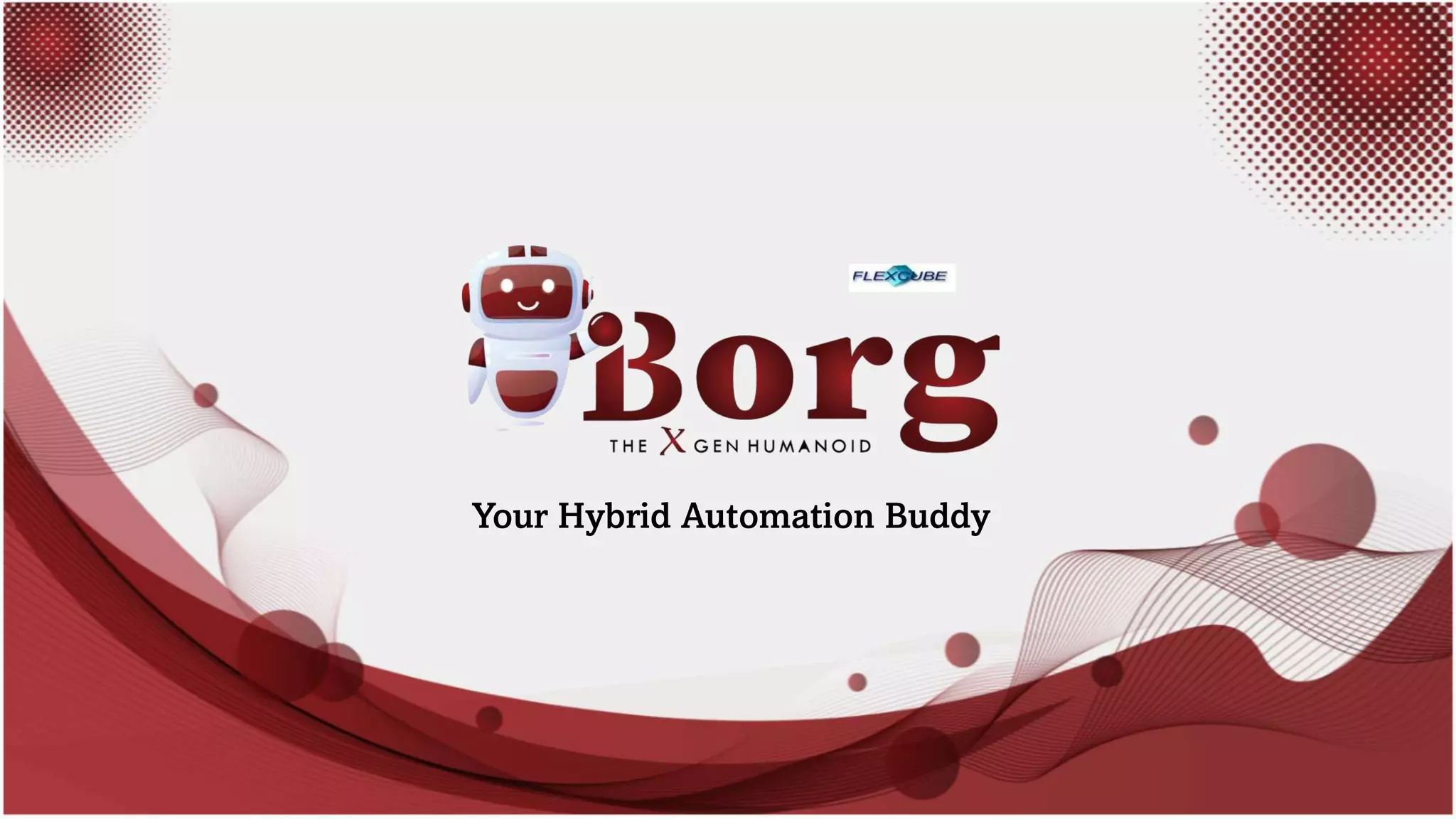 iBorgAutomationTool .pptx