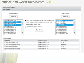PAG XXII 2014 – The Breeding Management System (BMS) of the Integrated ...
