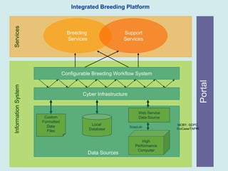 GRM 2011: The Integrated Breeding Platform tools and services | PPT