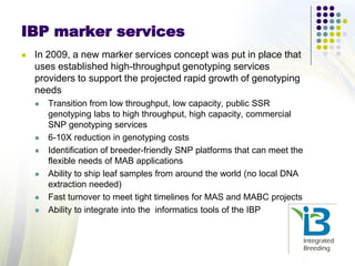 GRM 2011: The Integrated Breeding Platform tools and services | PPT