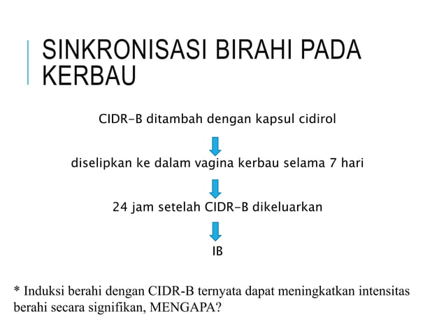 IB Pada Sapi, kambing domba kerbau.ppt