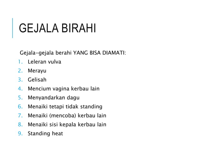 IB Pada Sapi, kambing domba kerbau.ppt