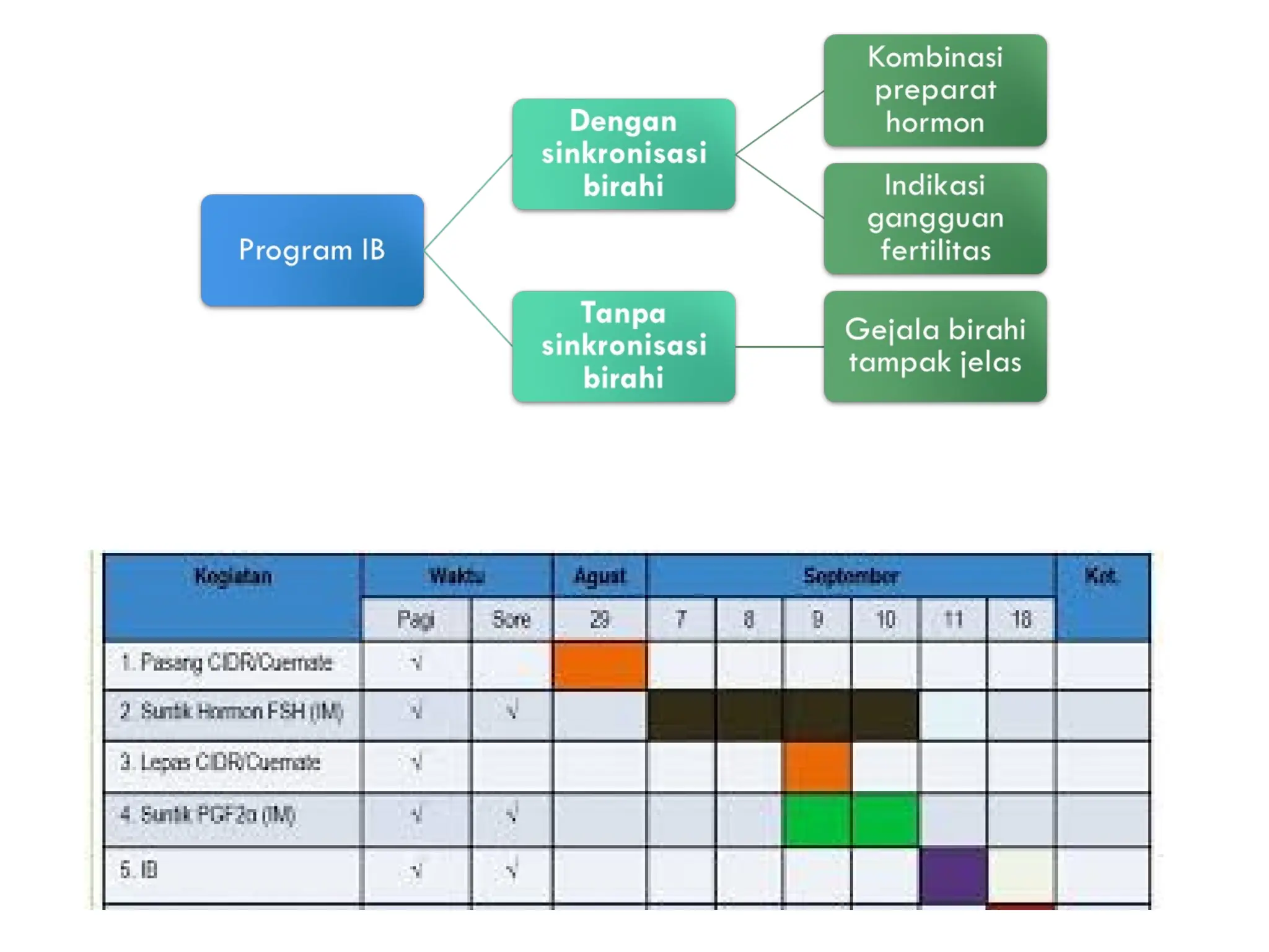 IB Pada Sapi, kambing domba kerbkkkau.ppt