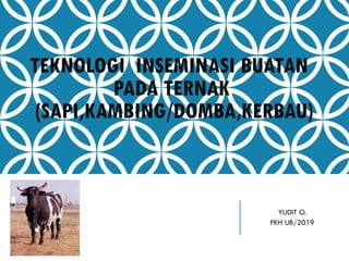 IB Pada Sapi, kambing domba kerbkkkau.ppt