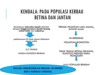 IB Pada Sapi, kambing domba kerbkkkau.ppt