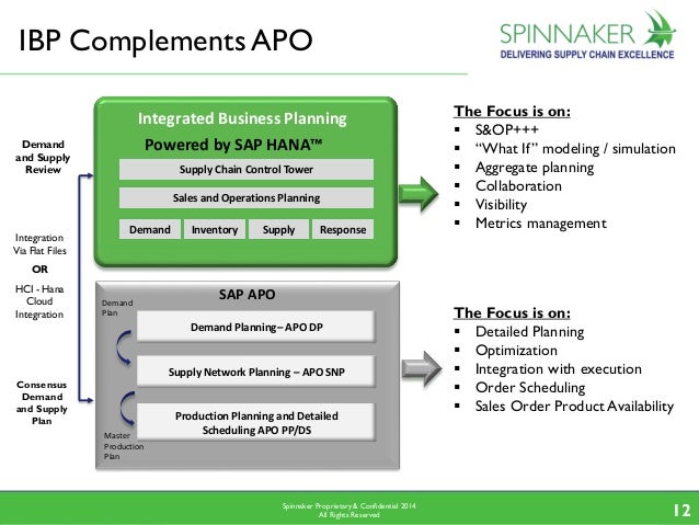 Integrated Business Planning (IBP): A Tale of Two Perspectives