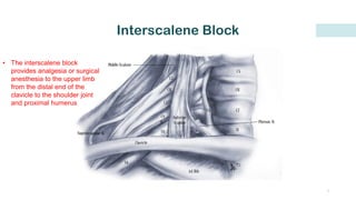 upper limb block and perineural catherers,nerve injury protocol | PDF