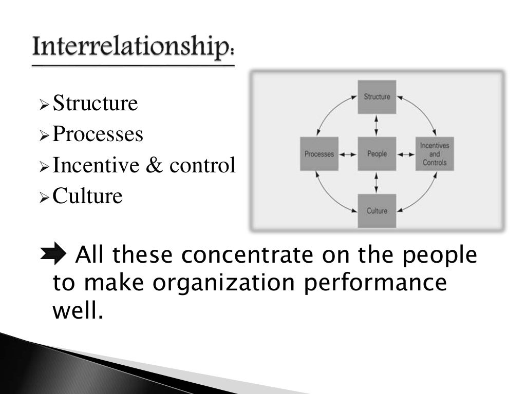 Organization Architecture