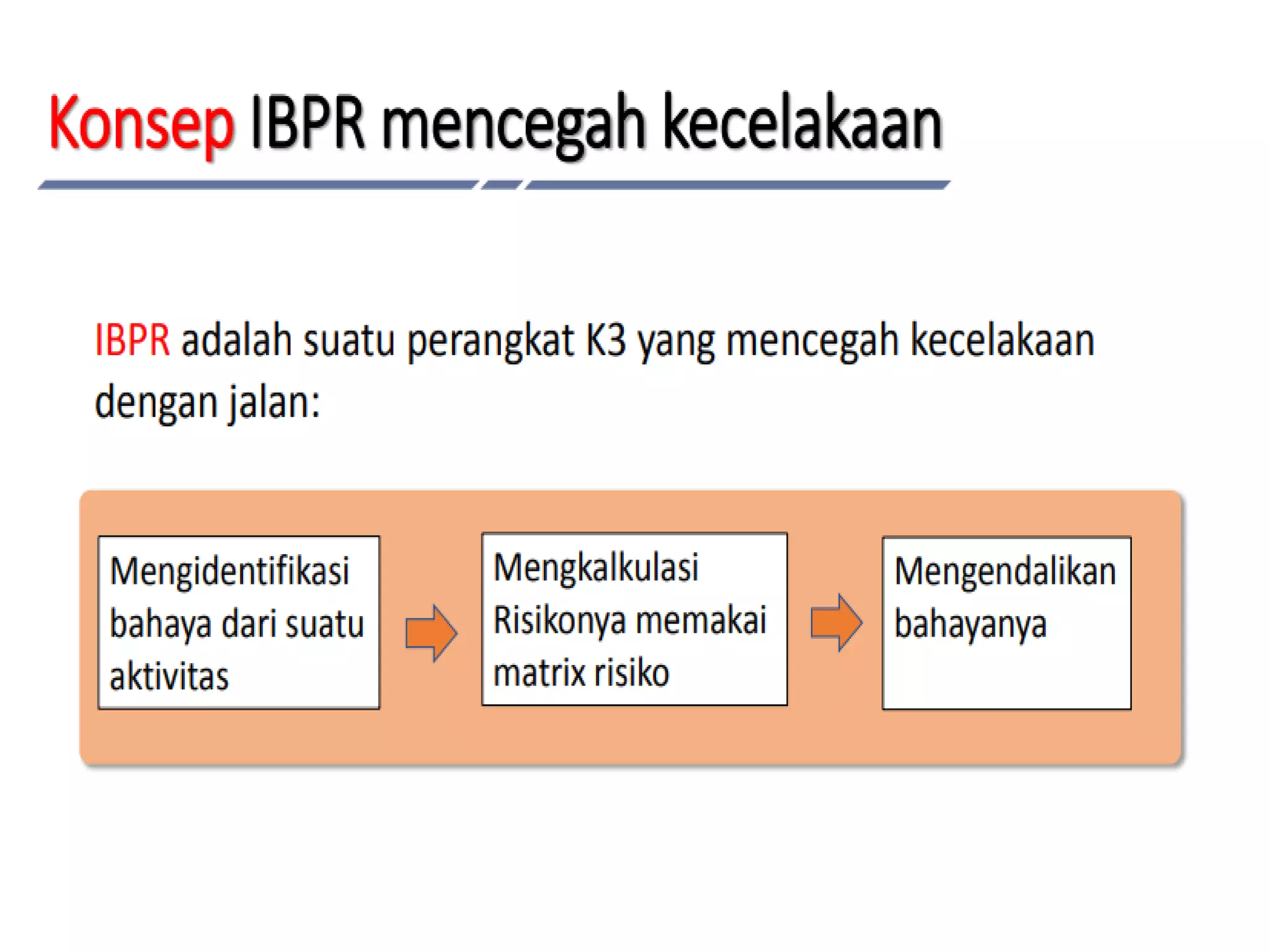IBPR-2023.pdf