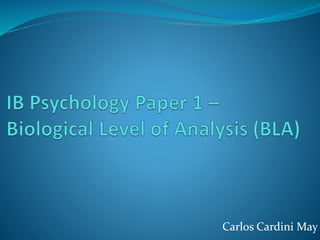 IB Psychology Paper 1 Biological Level of Analysis | PPTX