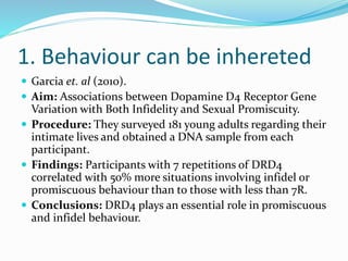 IB Psychology Paper 1 Biological Level of Analysis | PPTX | Brain and ...
