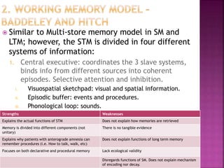 IB Psychology Paper 1 Cognitivel Level of Analysis | PPTX | Adoption ...
