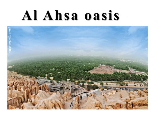 presentation about Al ahsa | PPTX