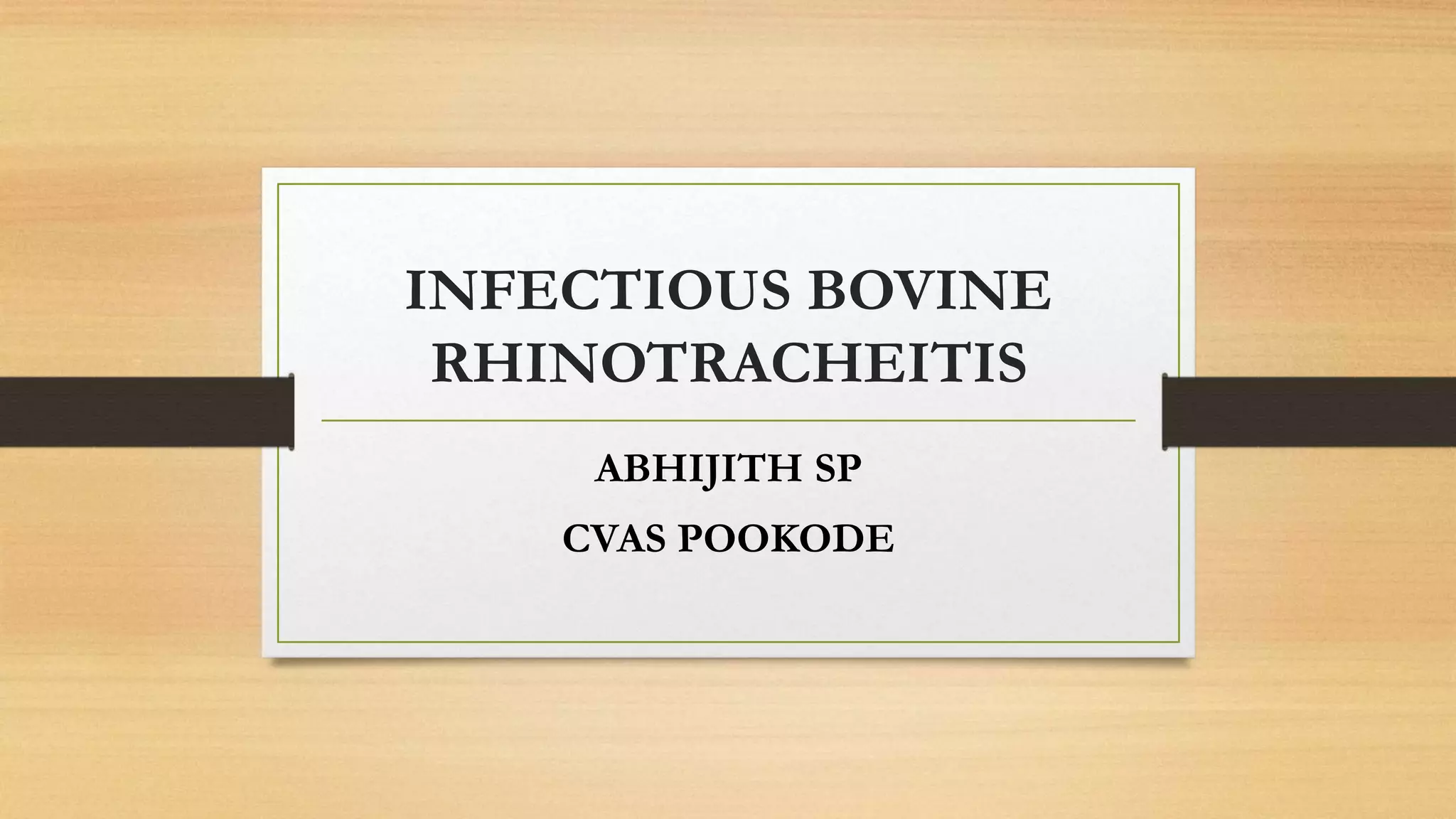 Infectious Bovine Rhino Tracheitis | PPTX