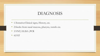 Infectious Bovine Rhino Tracheitis | PPTX | Ear, Nose and Throat ...
