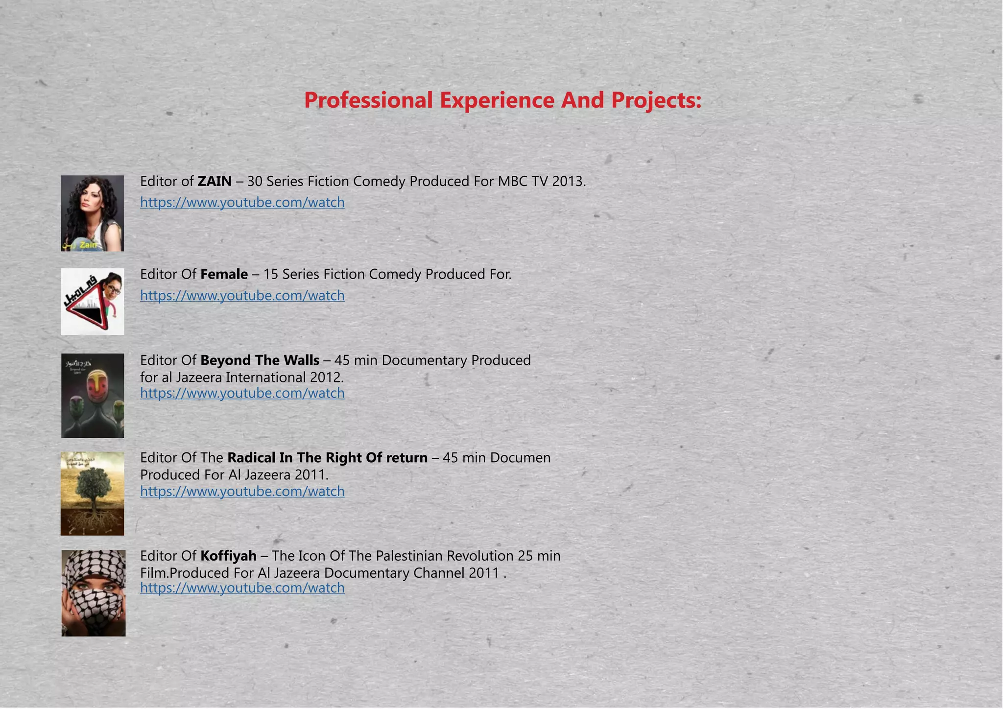 Ibrahim portfolio | PPT