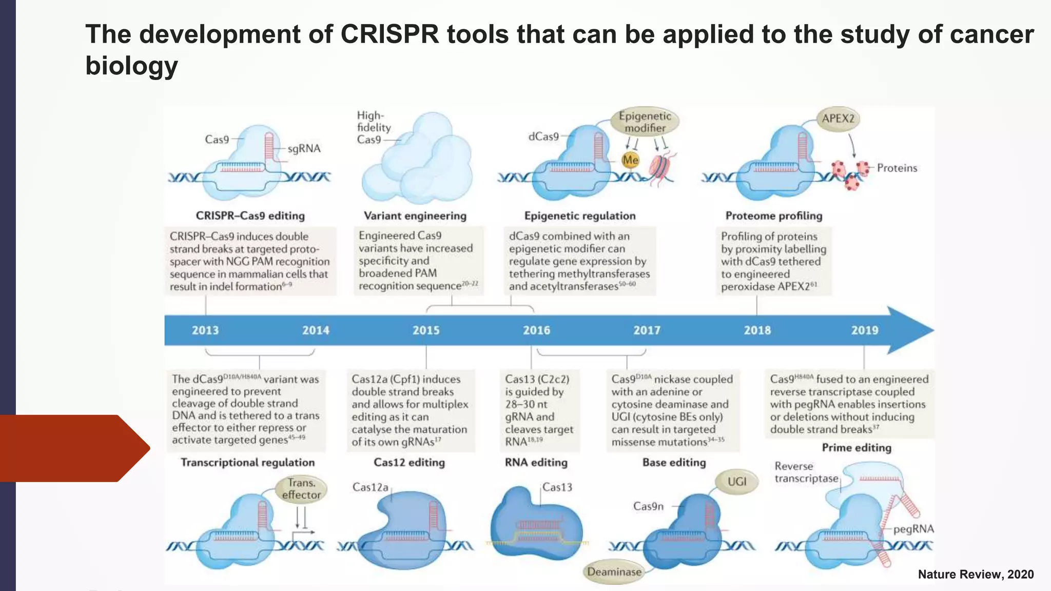 CRISPR in Cancer Biology and Therapy.pptx