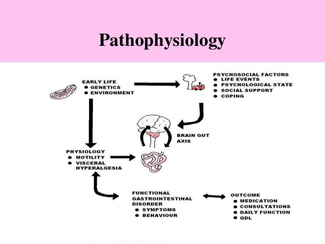 Irritable Bowel Syndrome Pathophysiology