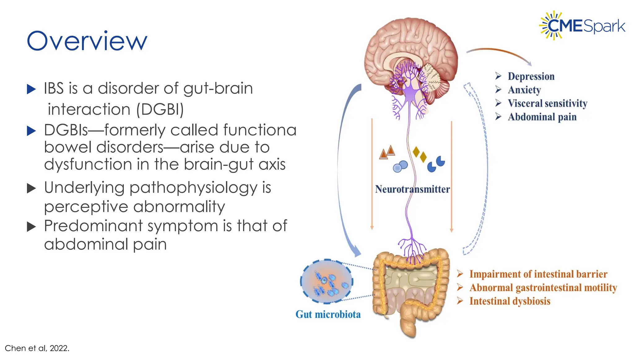 Irritable Bowel Syndrome with Constipation - Patient POV Slides - Dr ...
