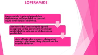 Irritable Bowel Syndrome | PPTX