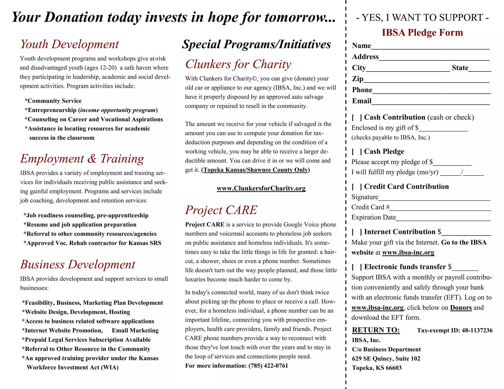 Ibsa pledge brochure | PDF
