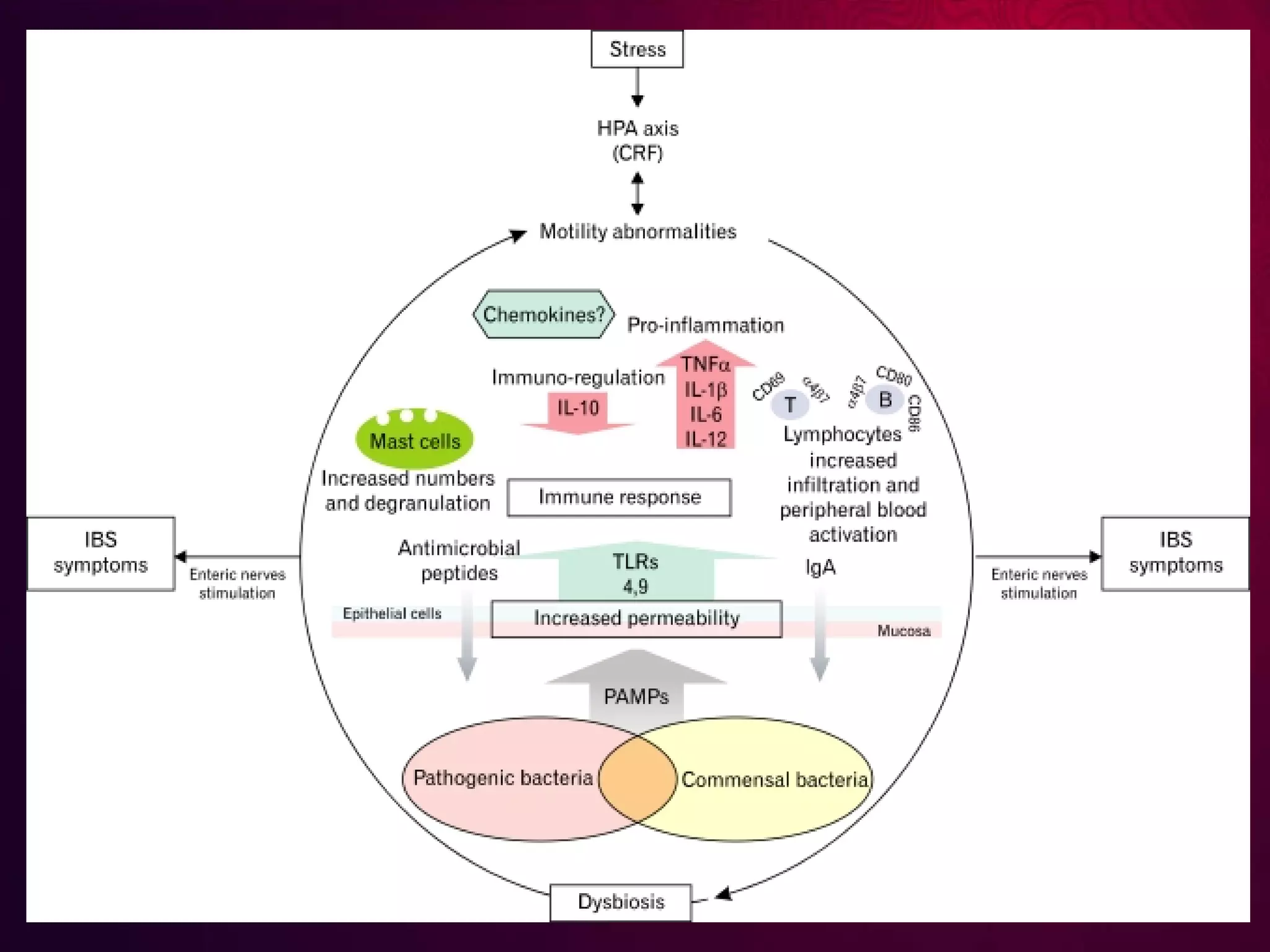 Drugs used in the treatment of irritable bowel syndrome (IBS) | PDF