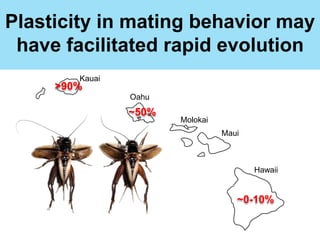 Insect love songs: how the social environment influences mating ...