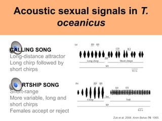Insect love songs: how the social environment influences mating ...