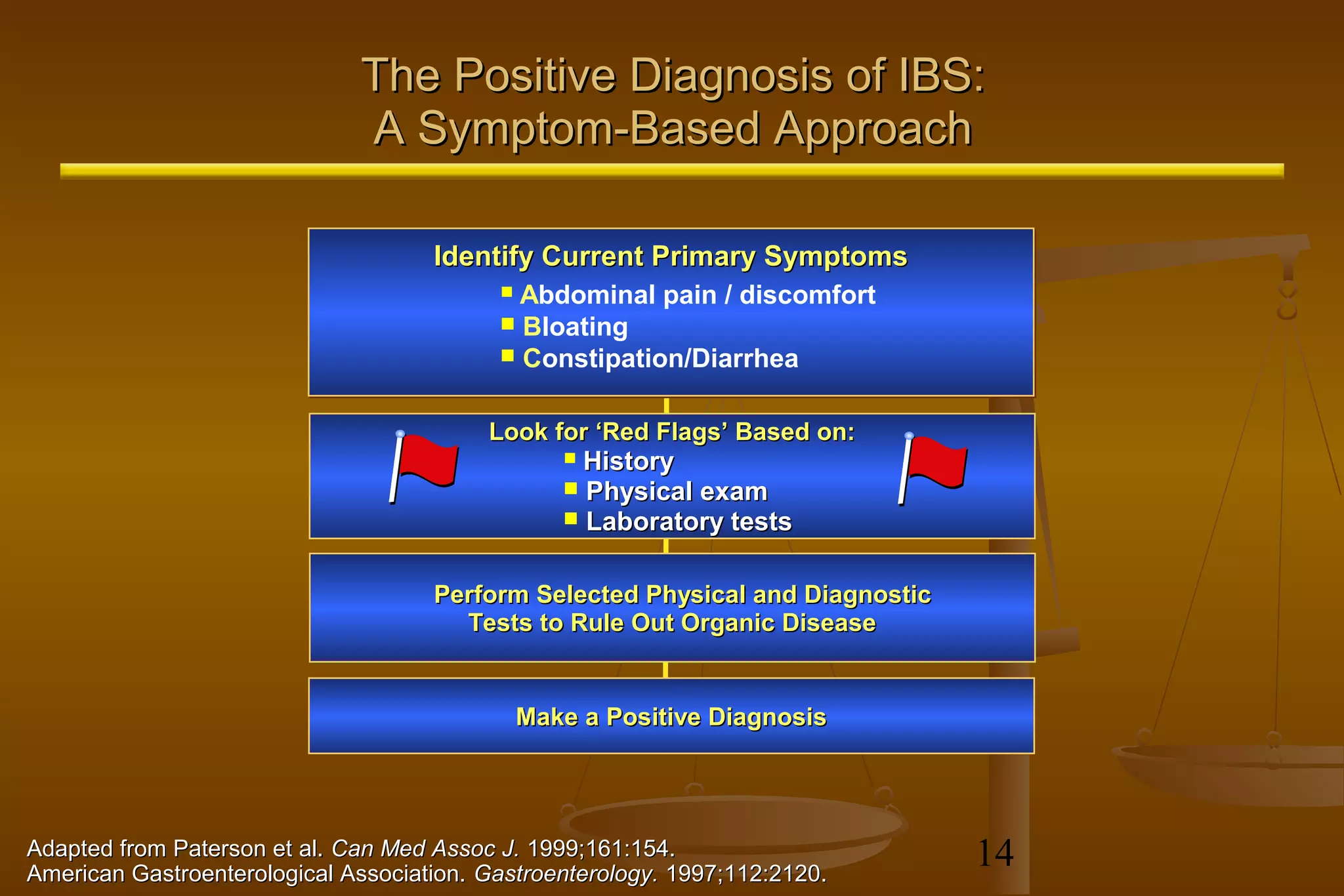 IBS Presentation | PPT