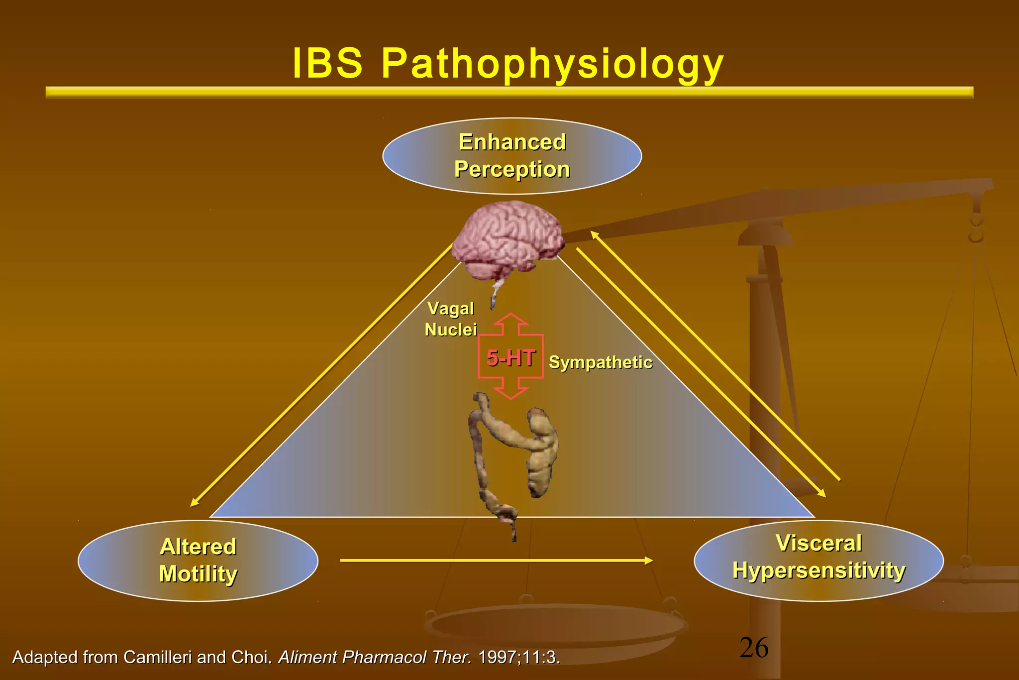IBS Presentation | PPT