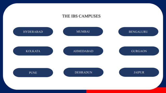 IBS_Presentation.pptx