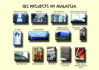 IBS Roadmap.pdf