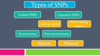 Single Nucleotide Polymorphism (SNP) | PPTX