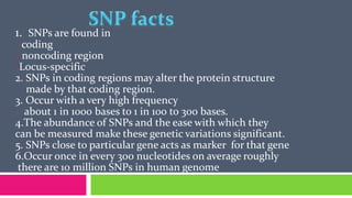 Single Nucleotide Polymorphism (SNP) | PPTX