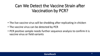 A Fully Automated POCKIT Central PCR System for Evaluation of the ...