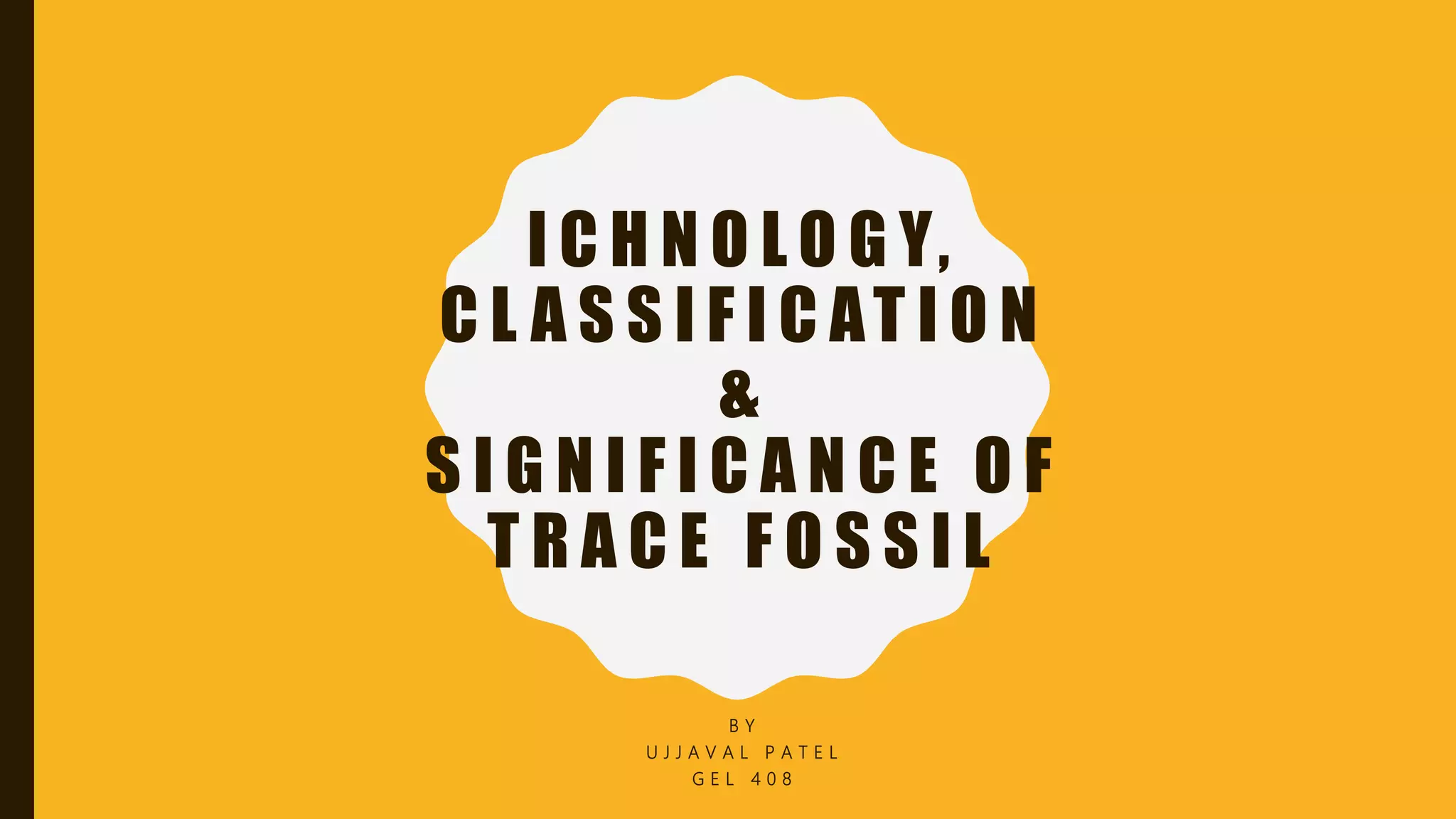 Ichnology,classification & significance of trace fossil | PPTX