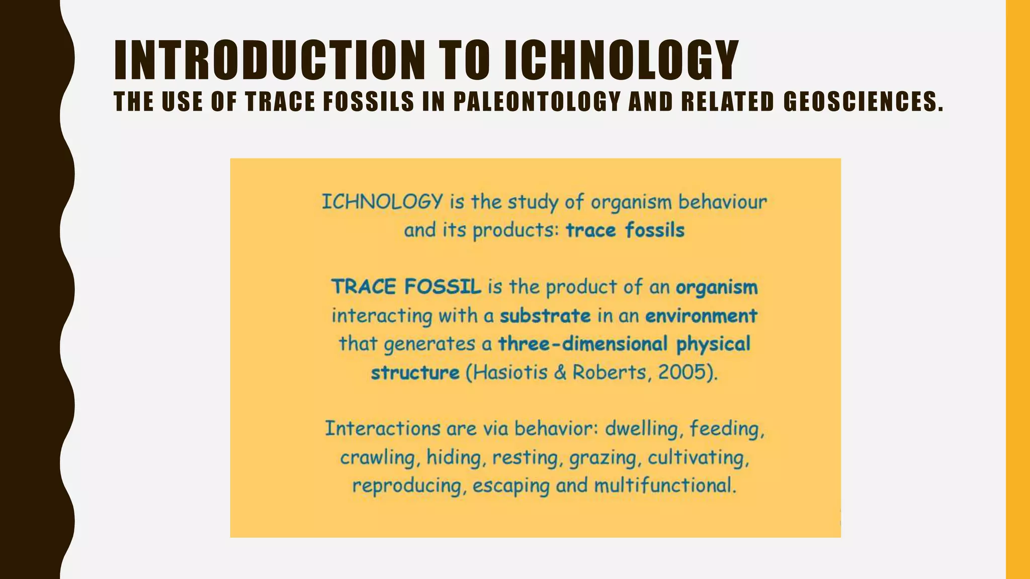 Ichnology,classification & significance of trace fossil | PPTX